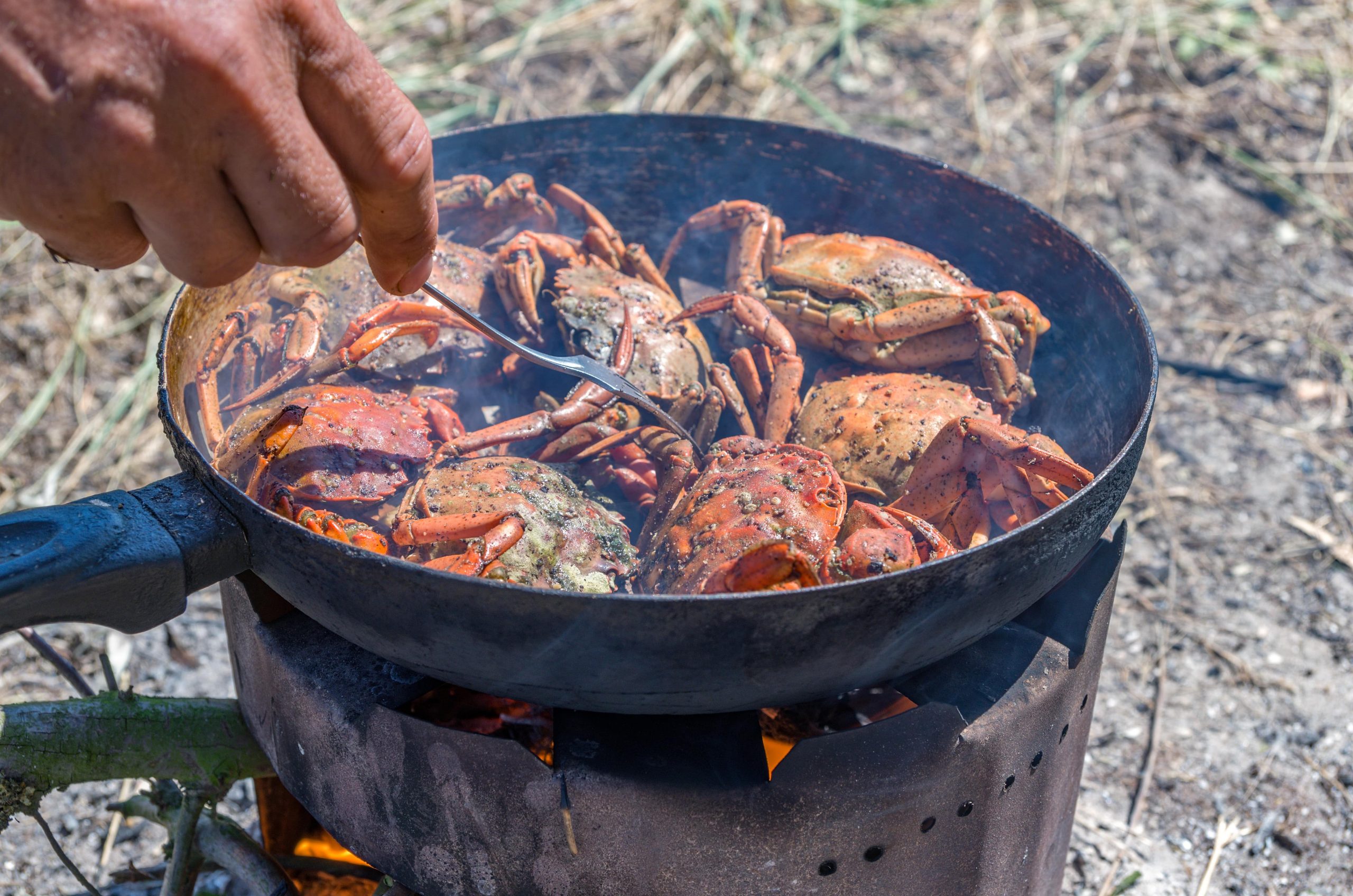 Energy Boosting Cooking at the Beach - PANOPTIS ESCAPE